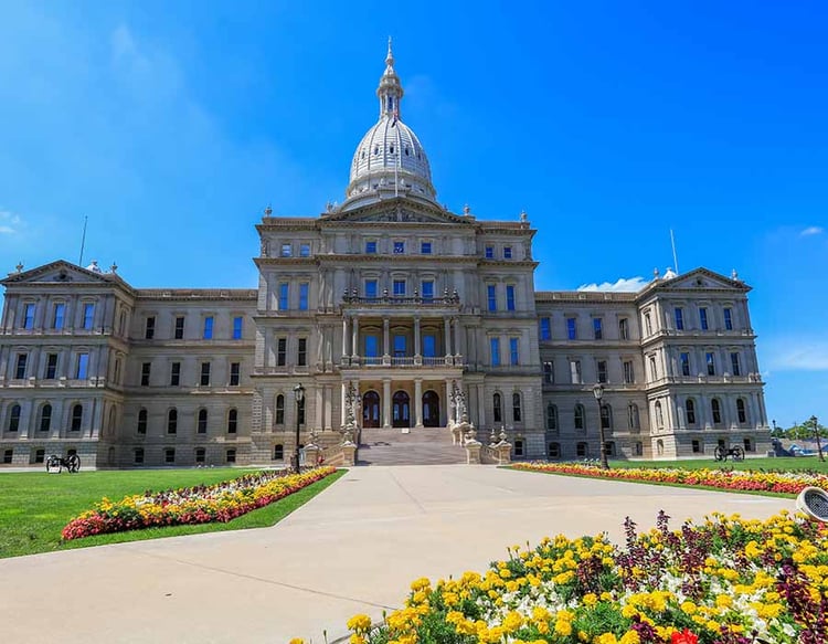 Michigan House of Representatives - Who's running in 2024